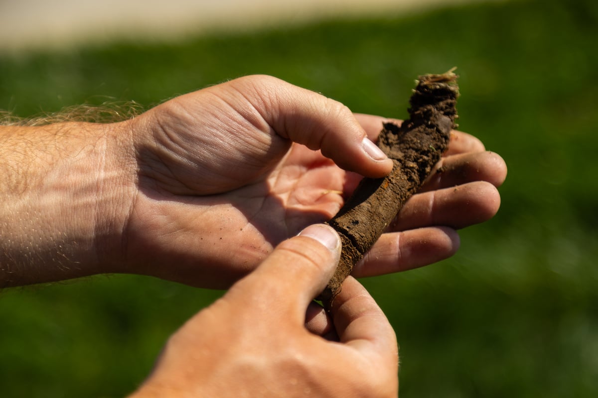 Solid vs Hollow Tine Aeration. Which Is Best for Your Lawn?