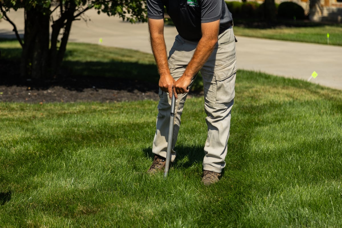 Understanding and Testing Soil pH: How it Impacts Grass in Indiana