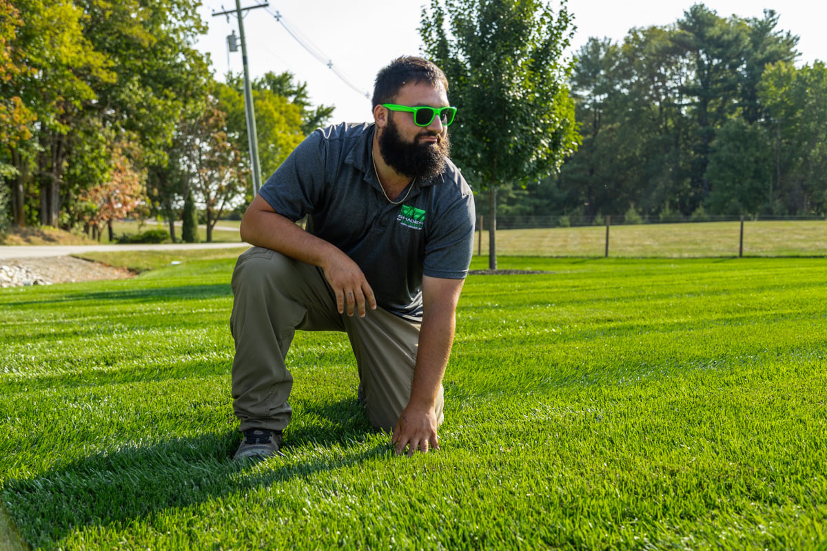 The Essential Indiana Lawn Care Schedule